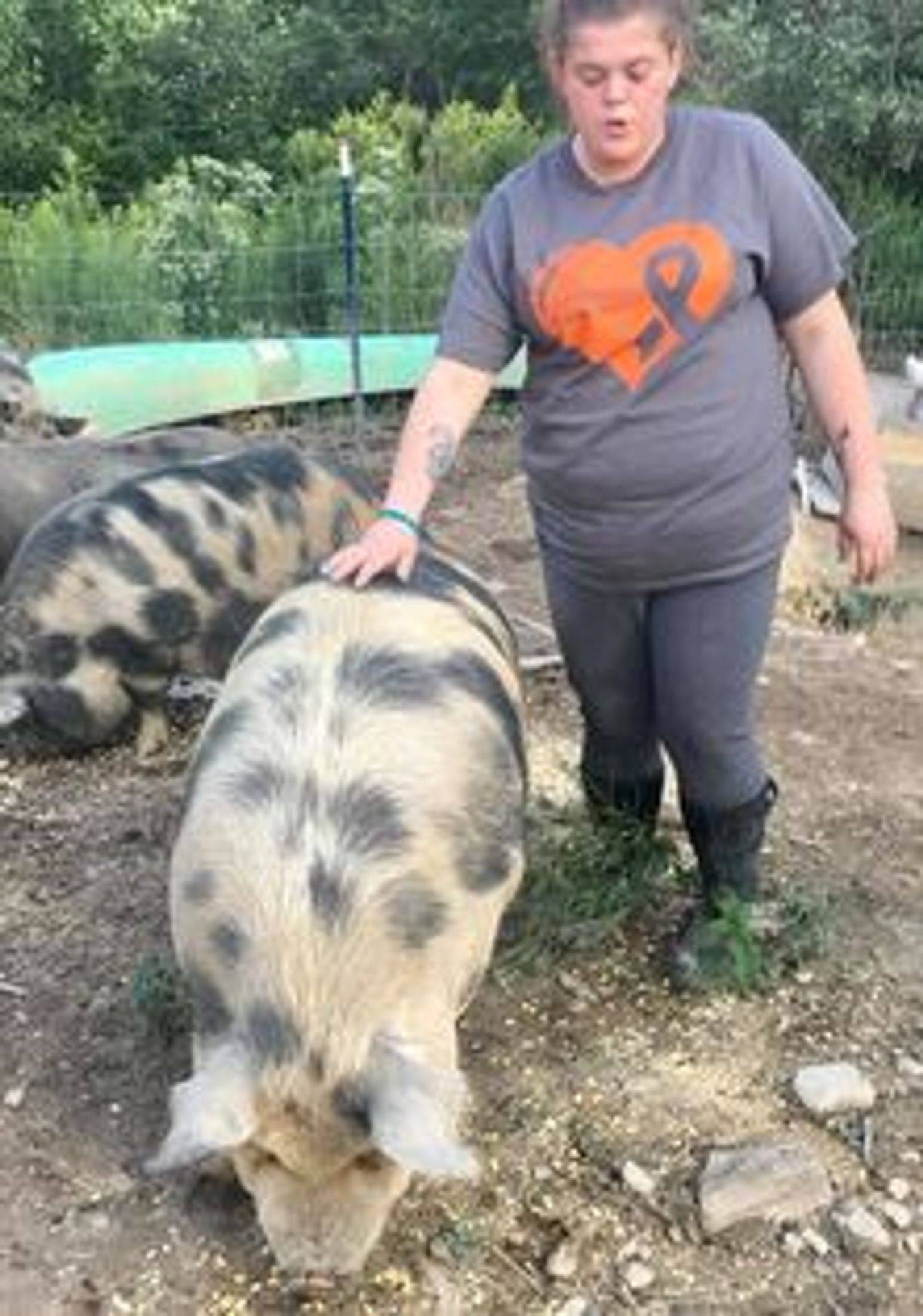 Breed Standard - Idaho Pasture Pig Registry LLC