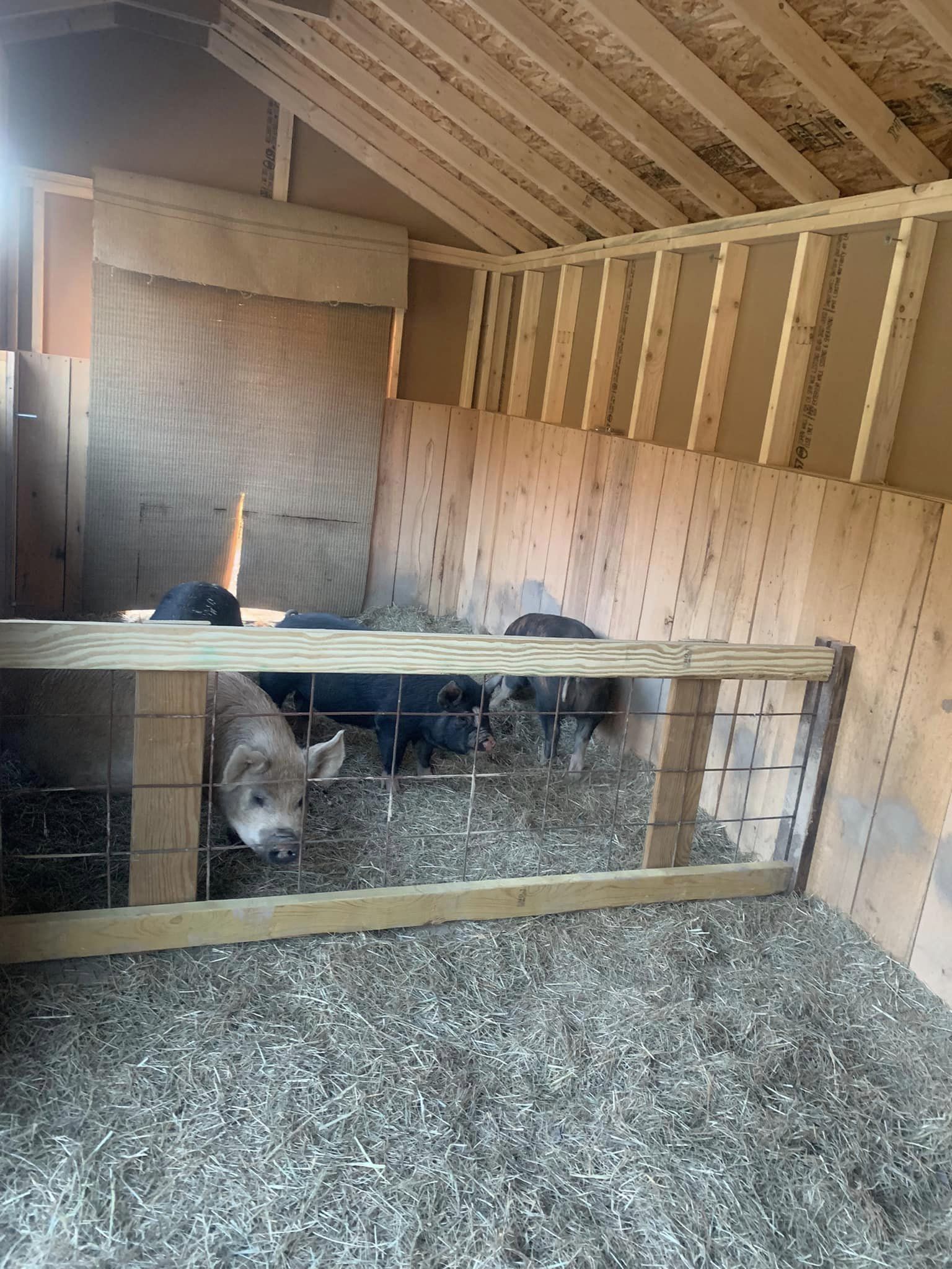 Housing/Shelter - Idaho Pasture Pig Registry LLC